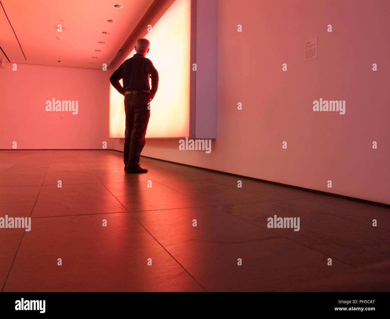 Visitor Viewing Light Display at museum of Modern Art, NYC, USA Stock ...
