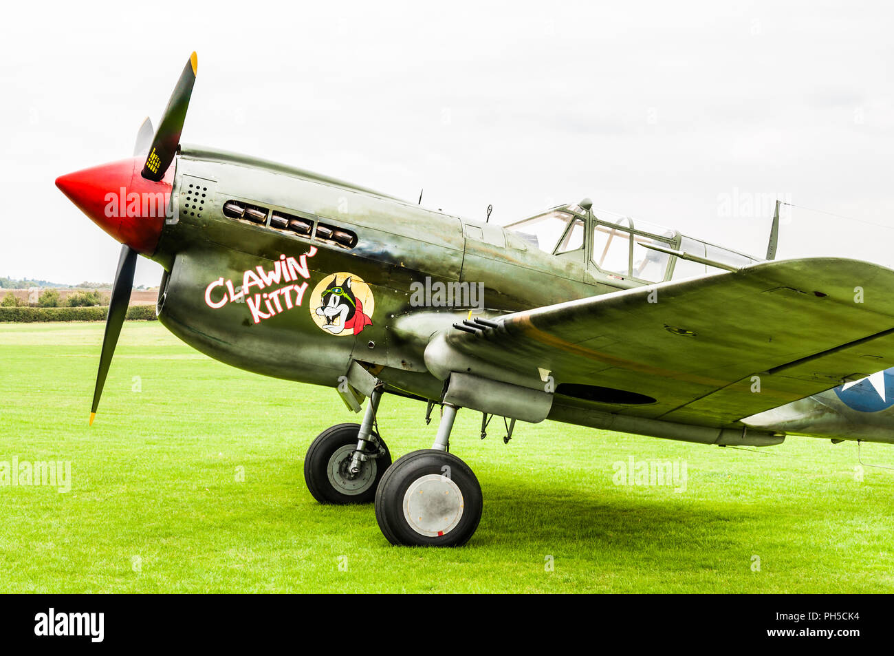 Curtiss P-40M Kittyhawk Clawin' Kitty jet plane Stock Photo - Alamy