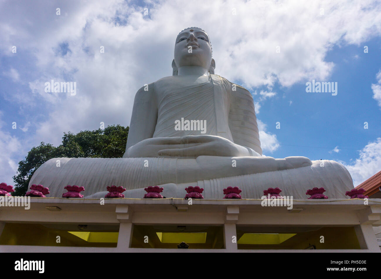 Buddha Statue, Sri Lanka Stock Photo - Alamy