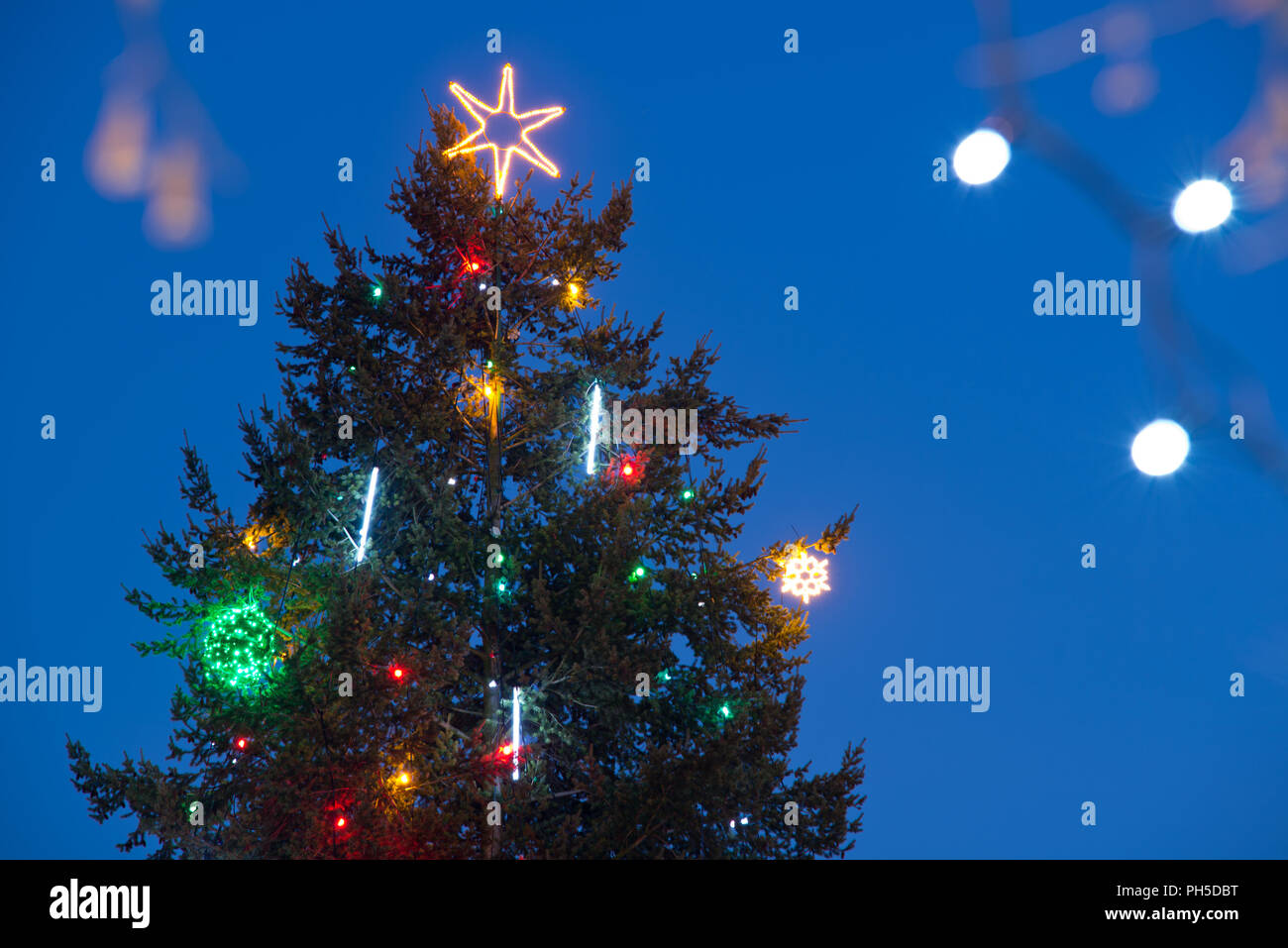 Detail of Christmas tre on the blue sky Stock Photo - Alamy