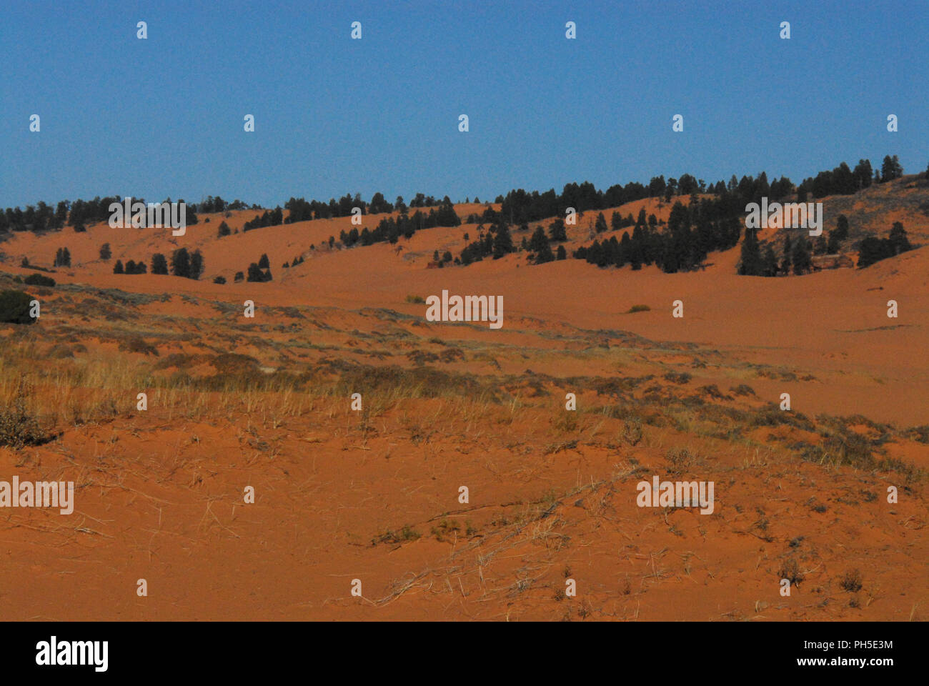 Beautiful contrasting desert colors in Arizona. A great background with ...