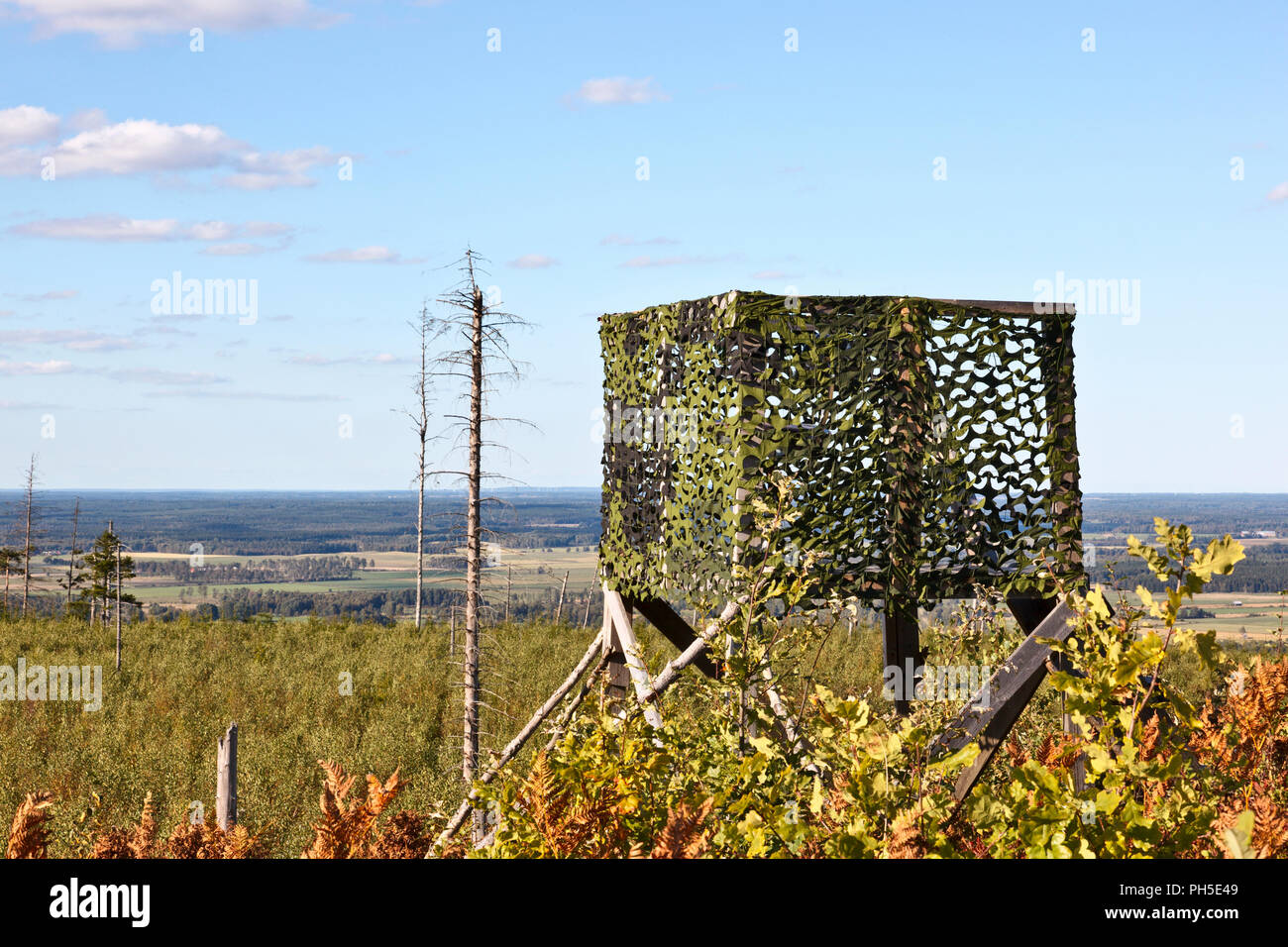 Forest clear cutting aerial view hi-res stock photography and images ...