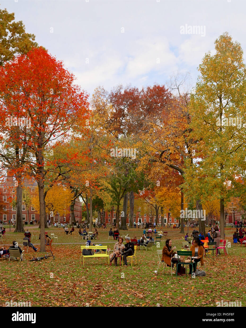 Colorful fall foliage in harvard yard hi-res stock photography and ...