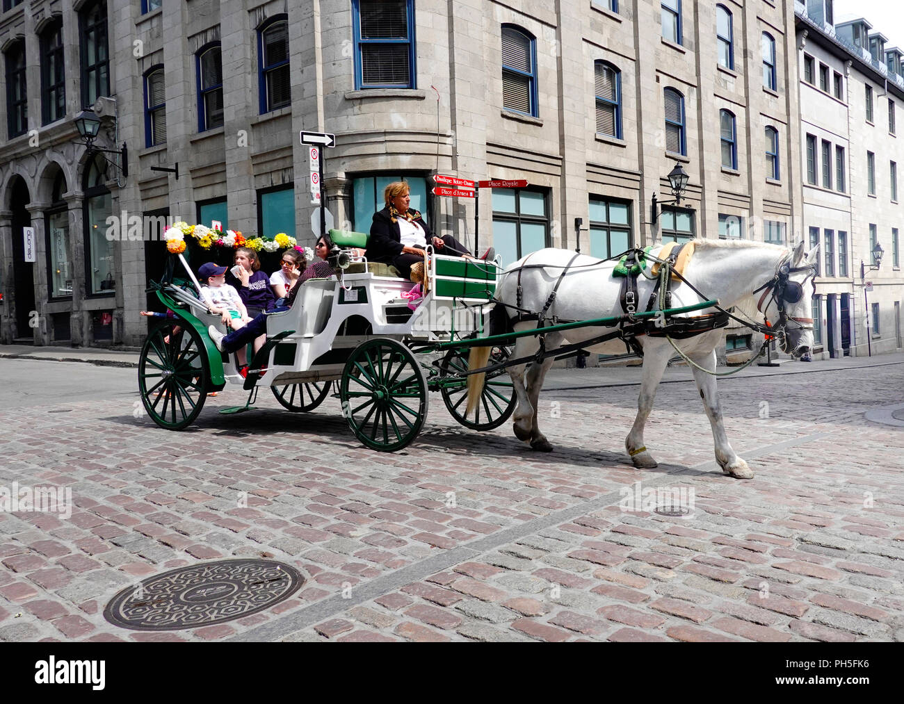 Horse pulling carriage hi-res stock photography and images - Alamy