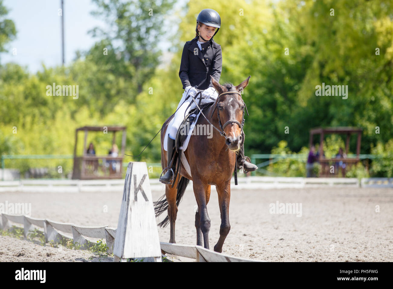 Teenage girl riding bay horse performing dressage test on equestrian ...
