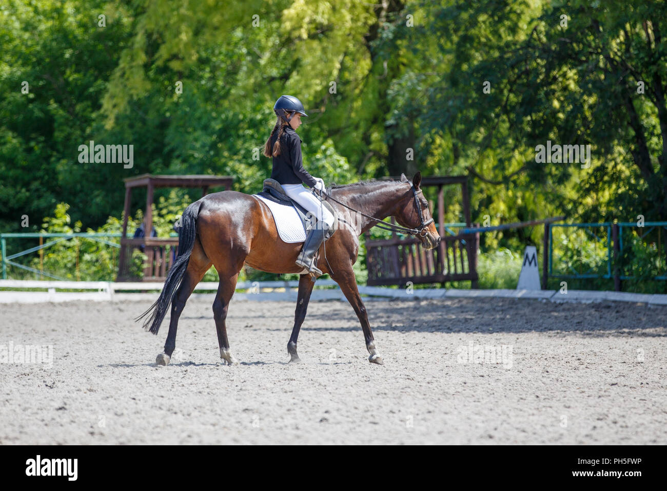 Young girl riding horse on equestrian competition. Equestrian dressage ...