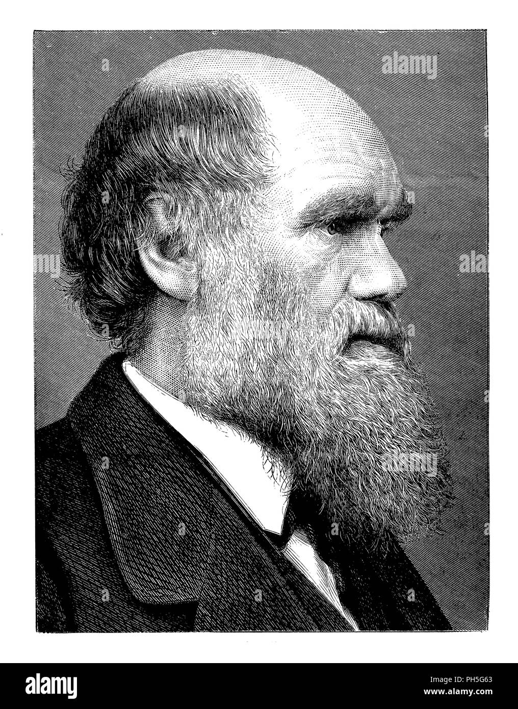 Darwin, Charles (1809-1882), British naturalist, 1900 Stock Photo - Alamy