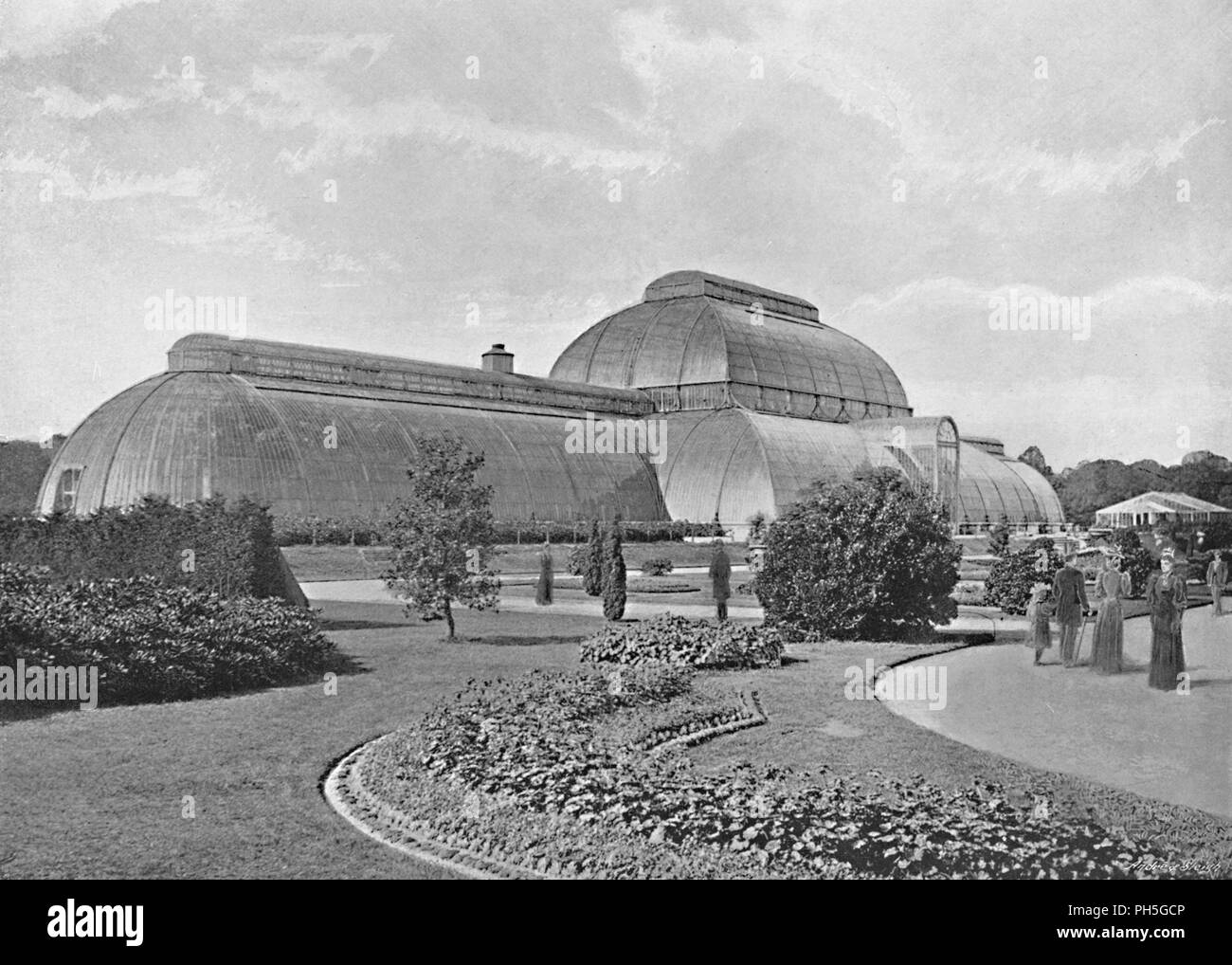 'The Great Palm House, Kew Gardens', c1896. Artist: York & Son Stock ...