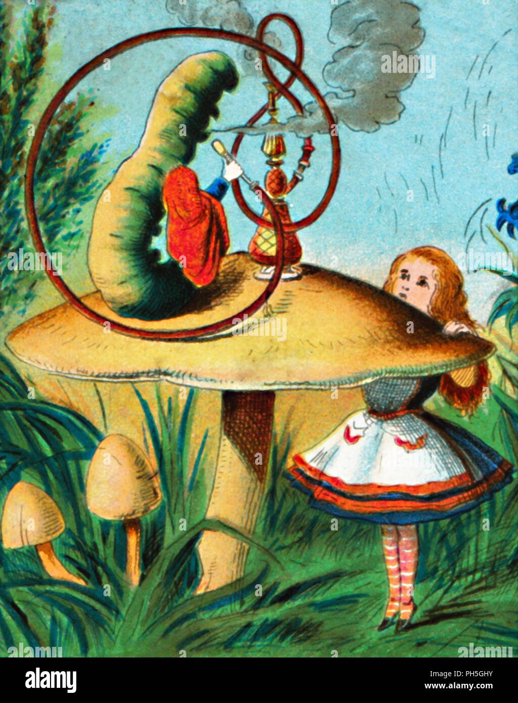 Down The Rabbit Hole Stock Photos & Down The Rabbit Hole Stock Images ...