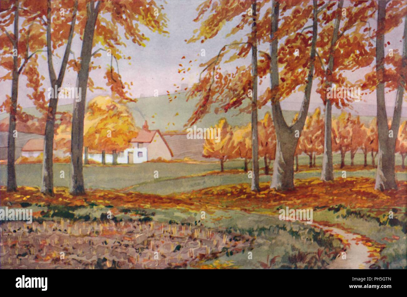 'Autumn - The Physical, Chemical and Biological Changes Wrought By The ...