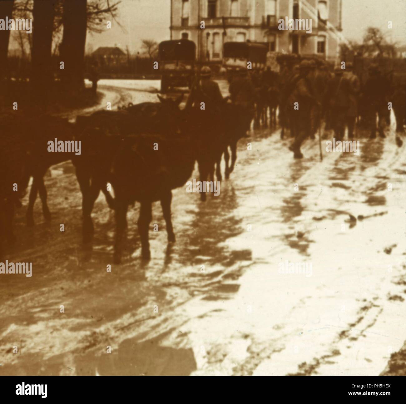 Wwi soldiers and mule hi-res stock photography and images - Alamy