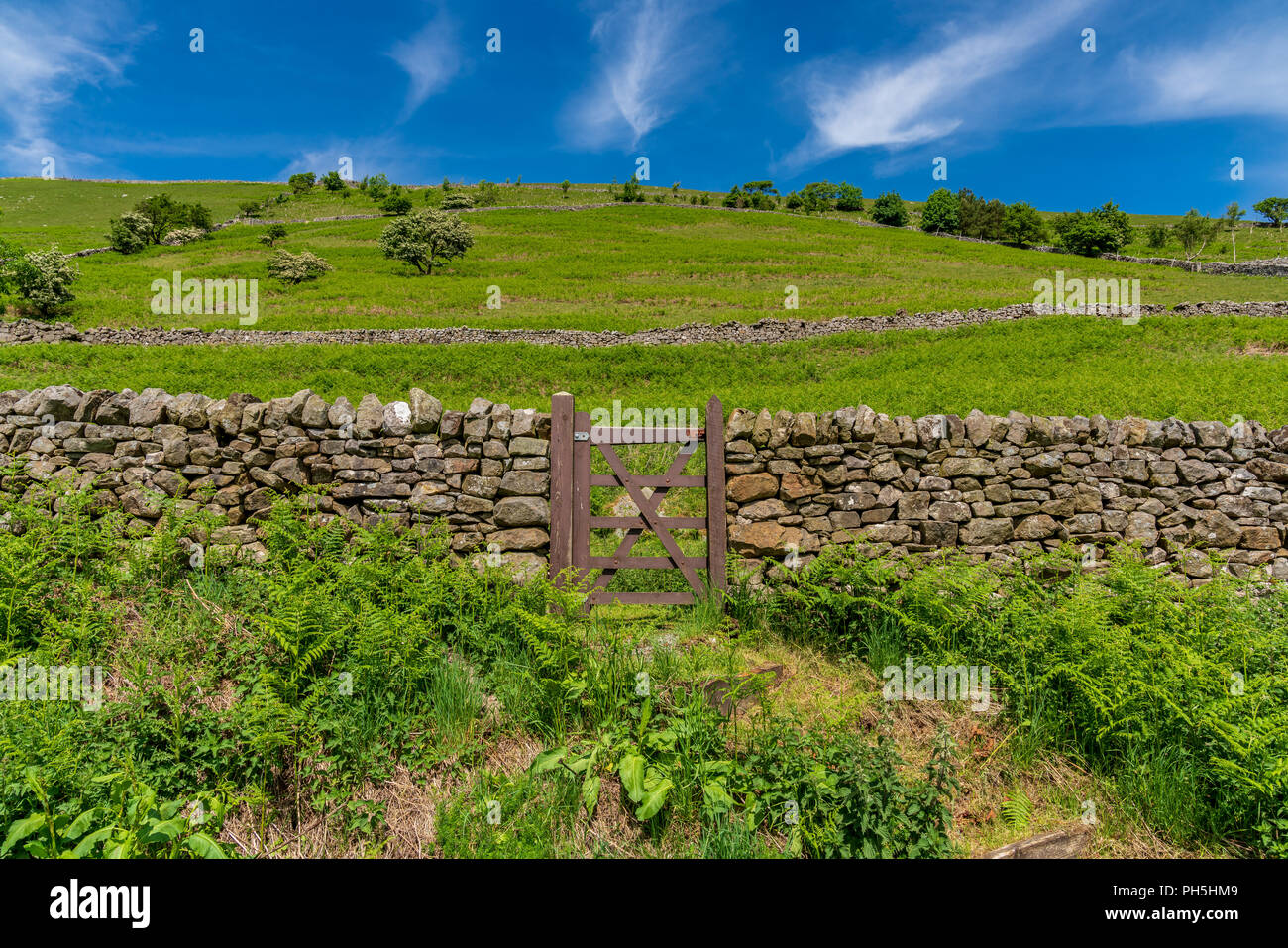Yorkshire landscape with a gate and a stone wall near Litton, North ...