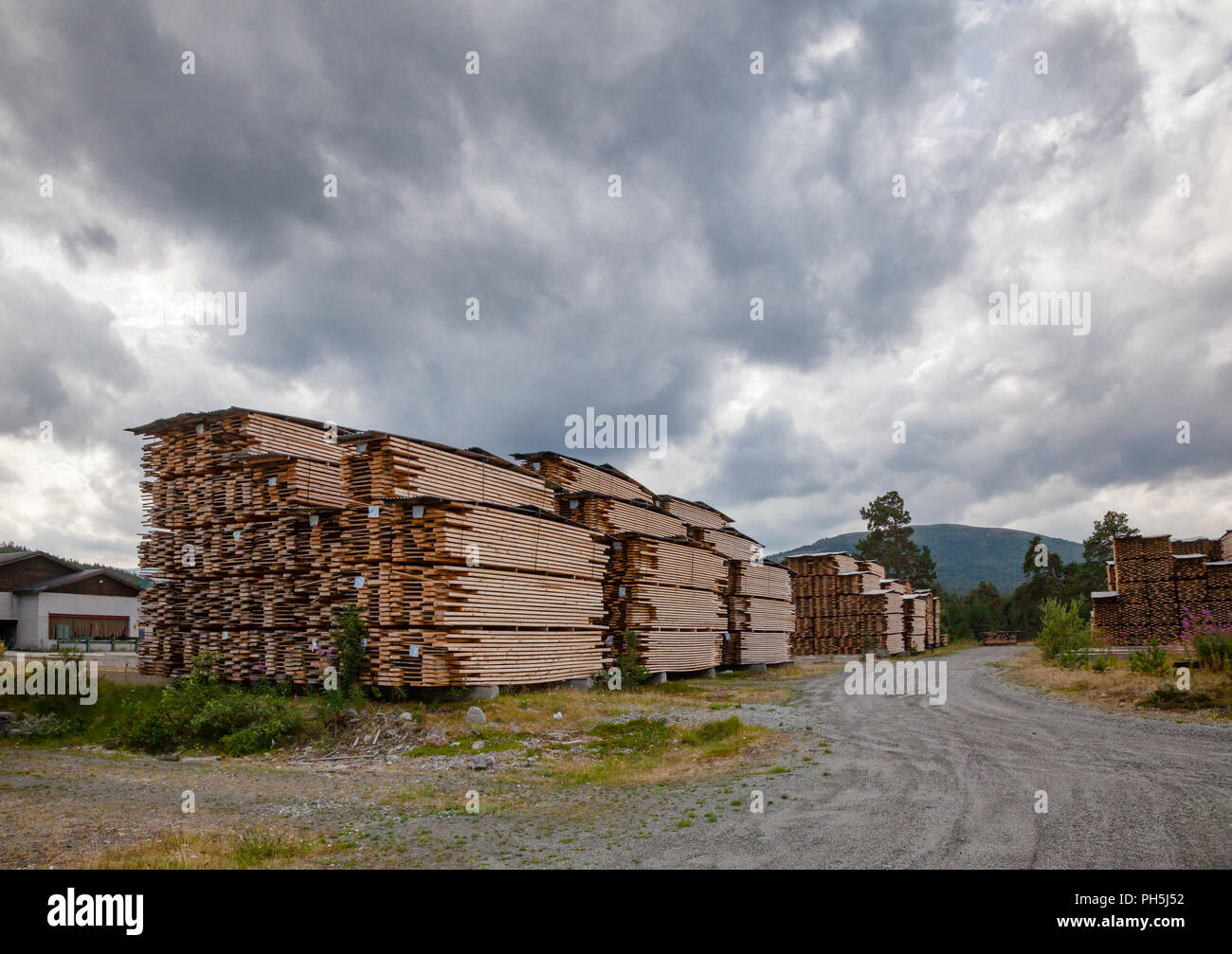 Drying Timber High Resolution Stock Photography and Images - Alamy