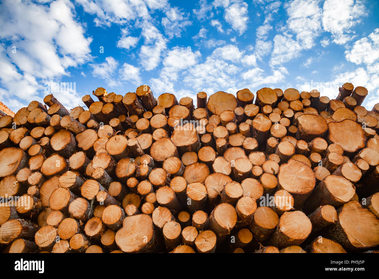 Lumber mill log storage hi-res stock photography and images - Alamy