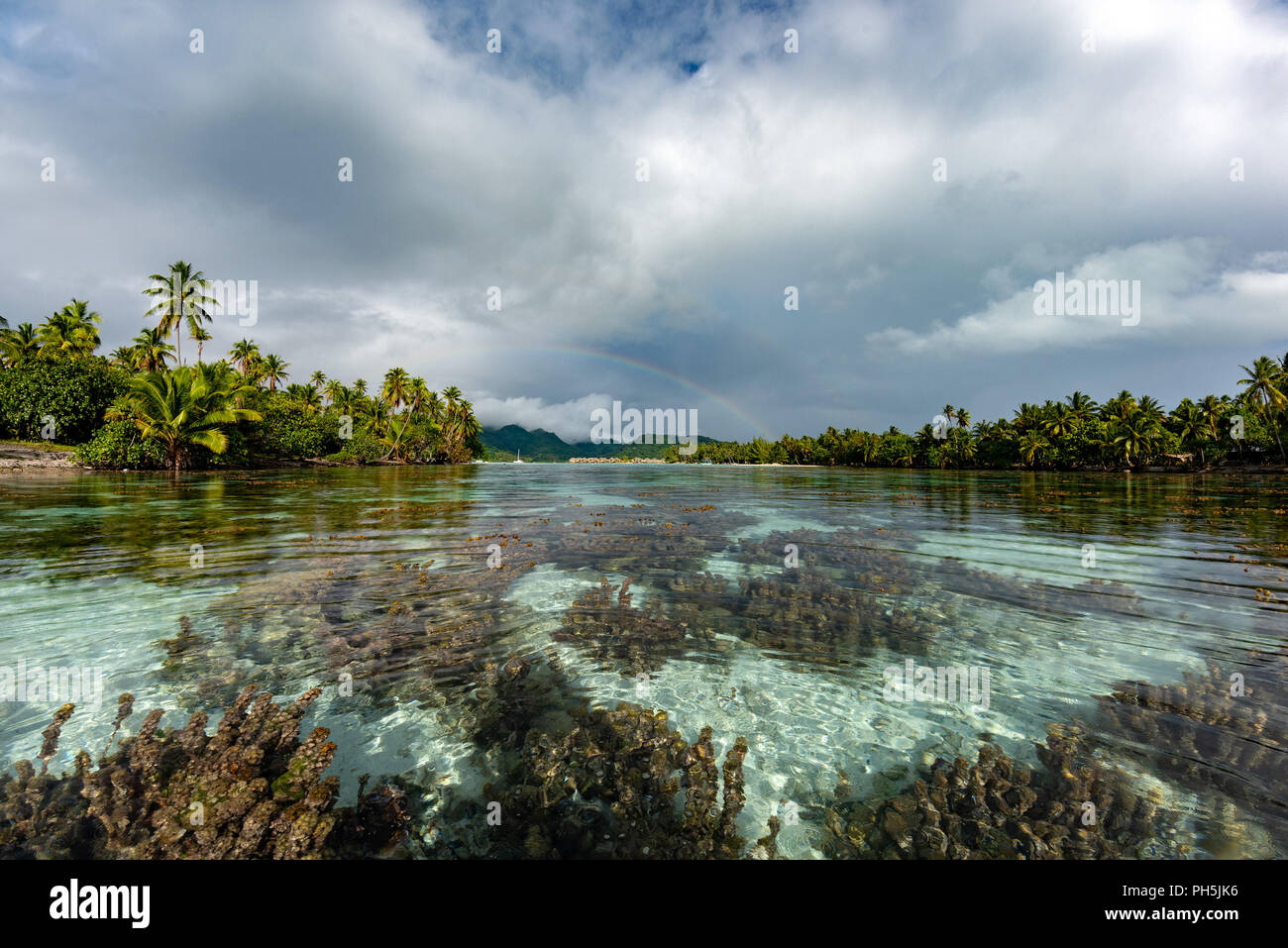 snorkeling in french polynesia turquoise water lagoon Stock Photo - Alamy