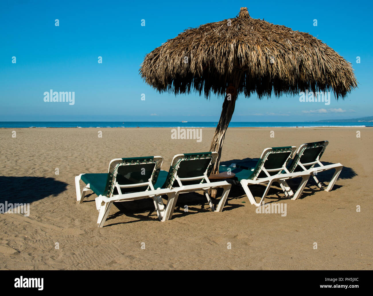 Chairs and Palm Tree Umbrella on the Beach Stock Photo - Alamy