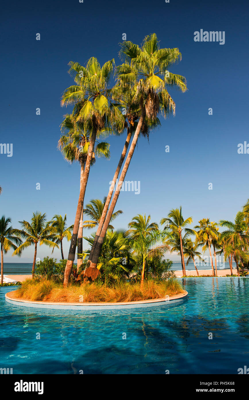 Palm Island in the Pool Stock Photo - Alamy