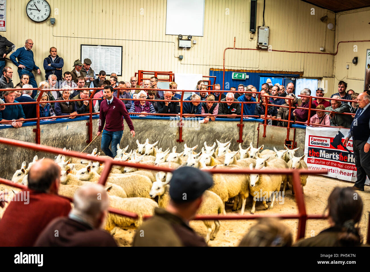 Longtown Sale High Resolution Stock Photography and Images - Alamy