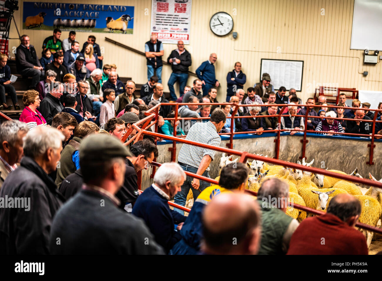 Longtown Sale High Resolution Stock Photography and Images - Alamy