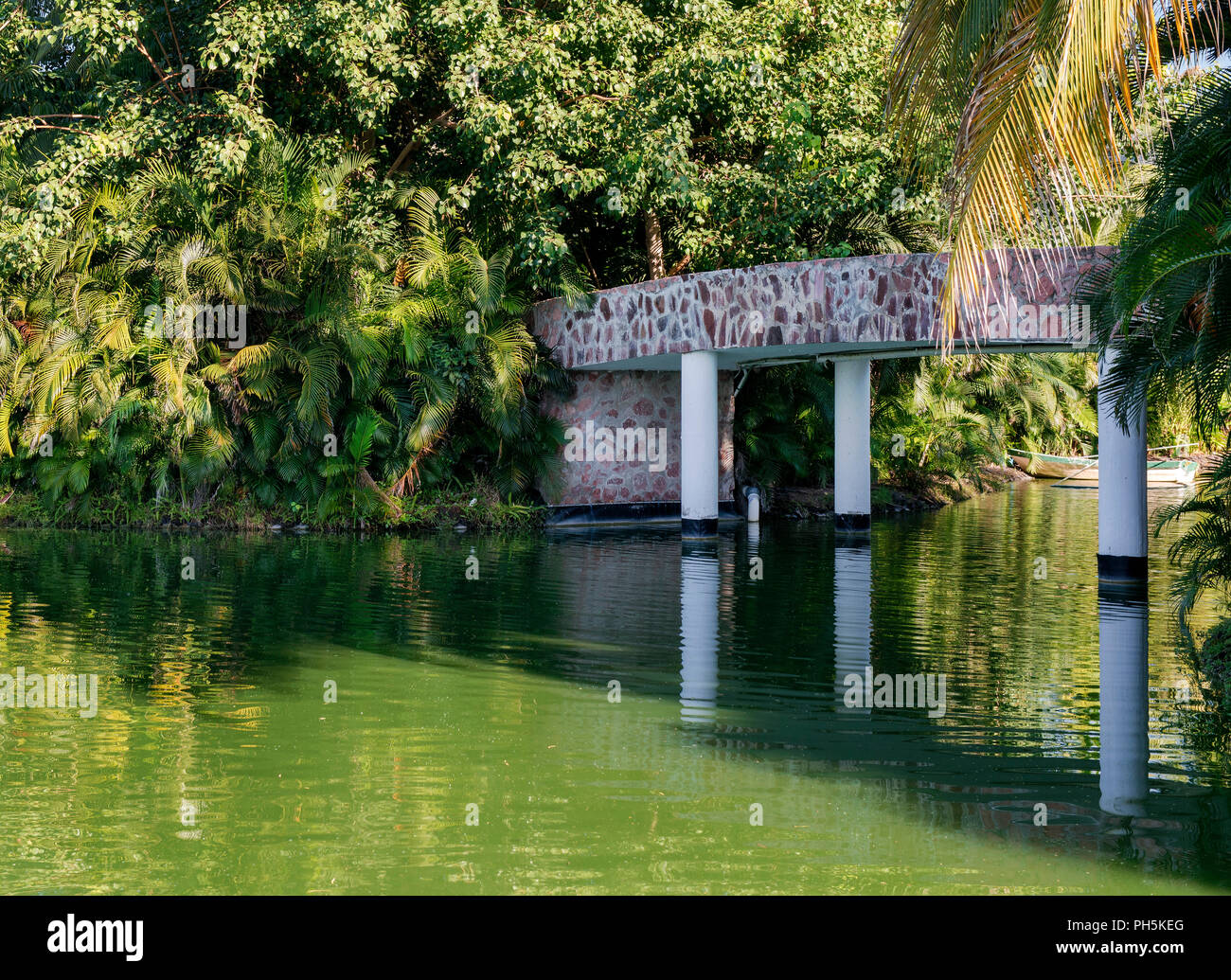 Tropical Jungle with Bridge Stock Photo - Alamy