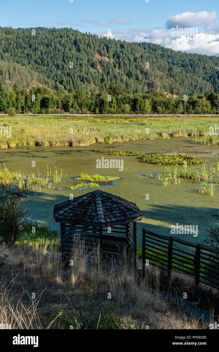 Thompson Lake Wildlife Refuge Stock Photo - Alamy