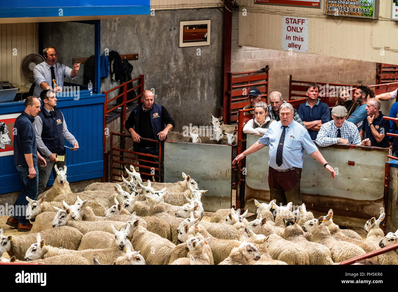 Longtown Sale High Resolution Stock Photography and Images - Alamy