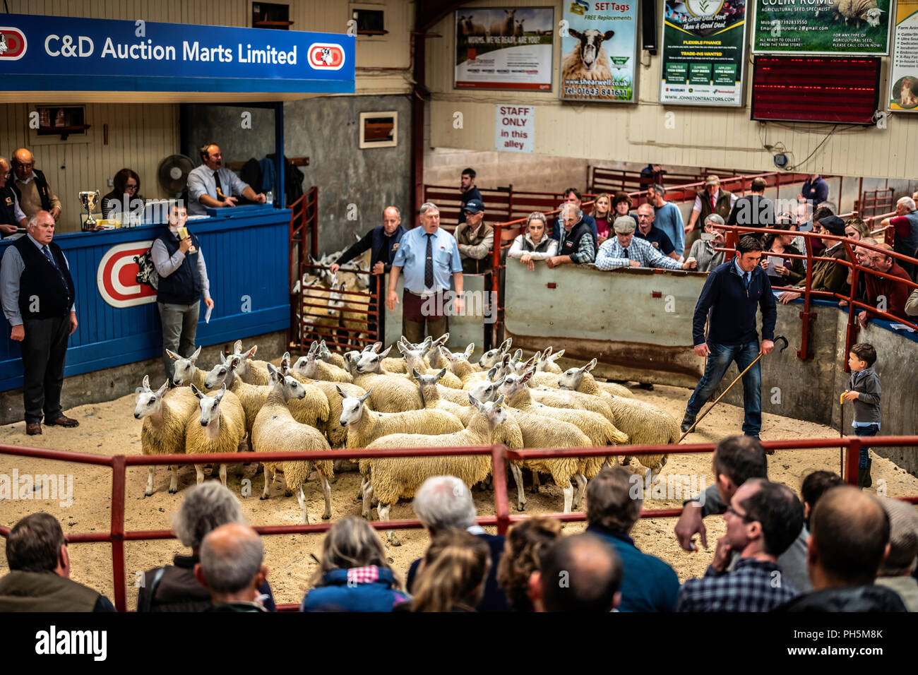 Longtown Sale High Resolution Stock Photography and Images - Alamy