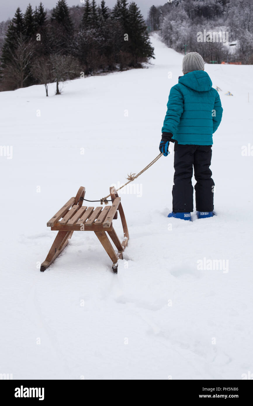 Pull pulling a sledge hi-res stock photography and images - Alamy