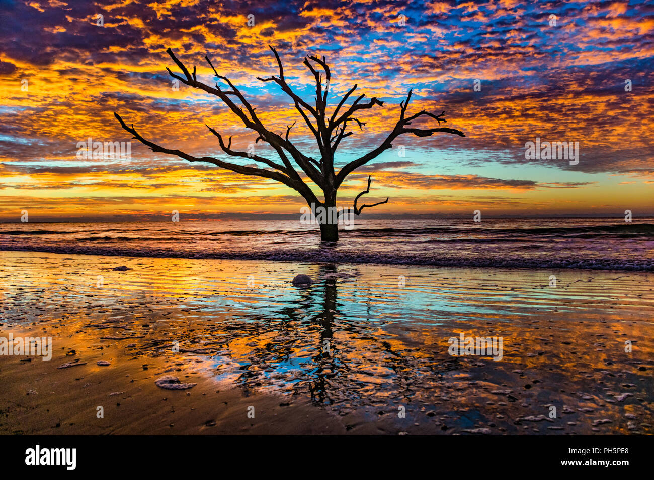 Boneyard Botany Bay Plantation in Editso Island South Carolina near ...