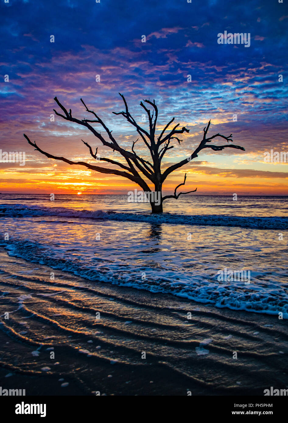 Boneyard Botany Bay Plantation in Editso Island South Carolina near ...