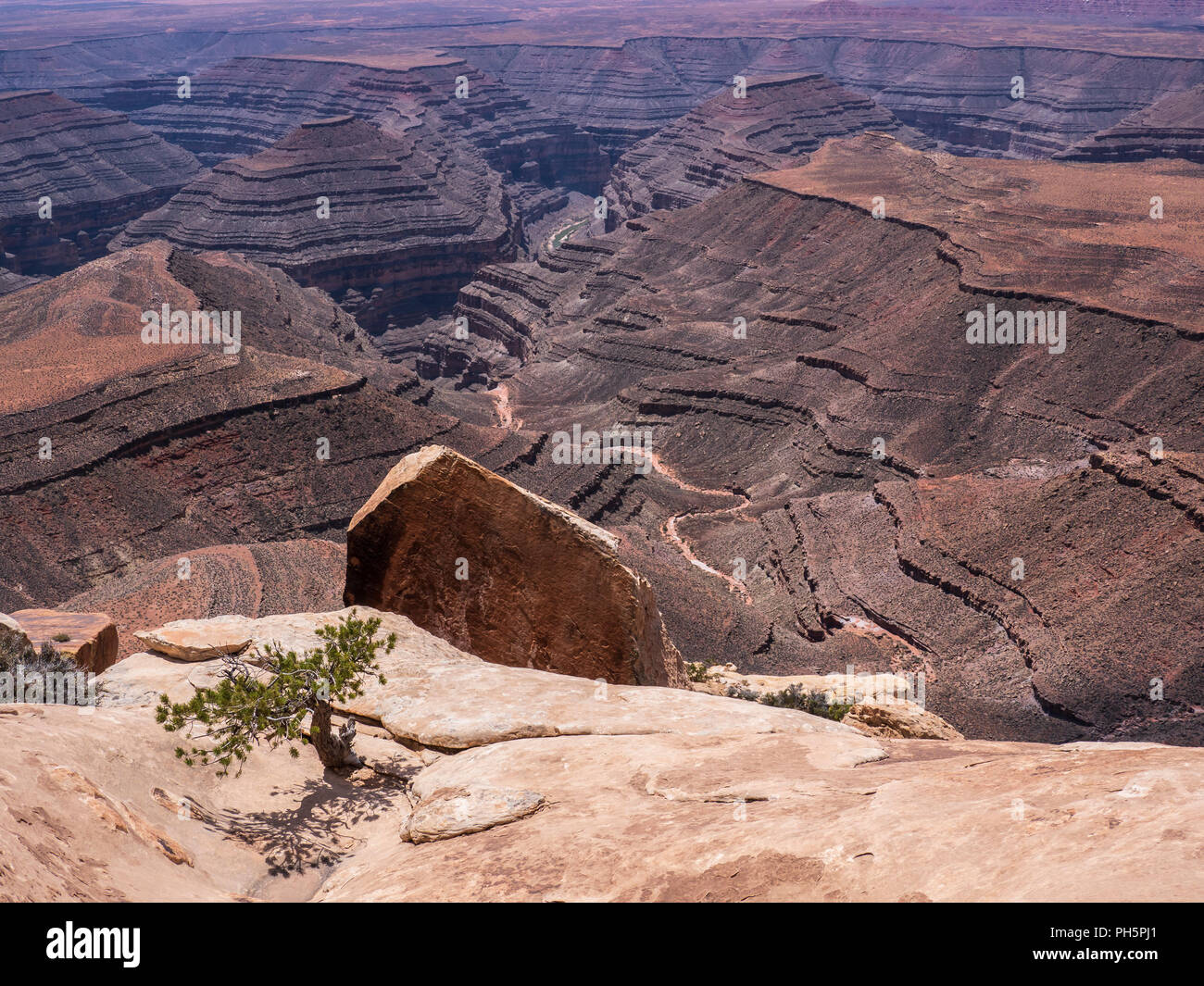 San Juan River Valley from Muley Point atop the Moki Dugway near Bluff ...