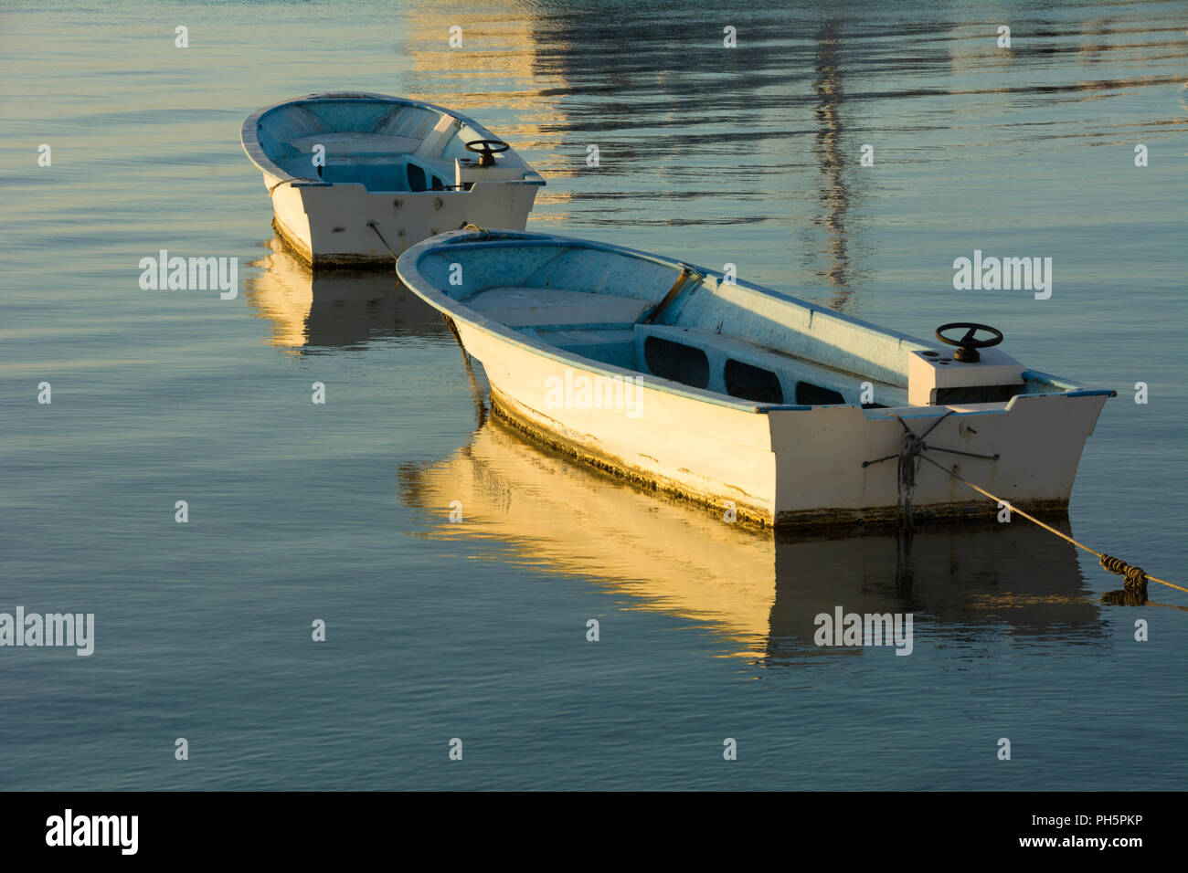 Pangas in the bay at La Paz, Baja California Sur, Mexico Stock Photo ...