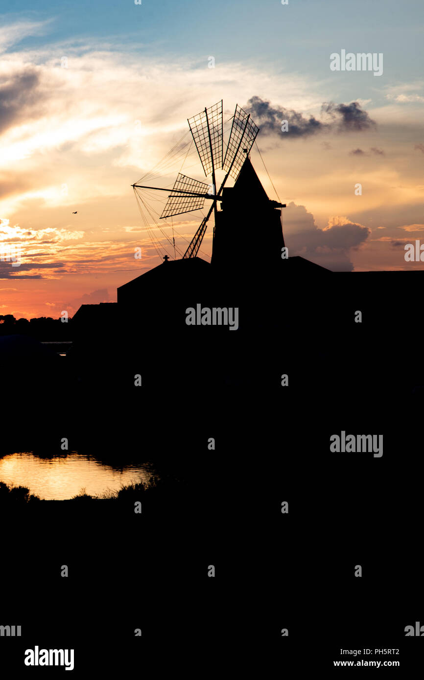 Mammacaura hi-res stock photography and images - Alamy