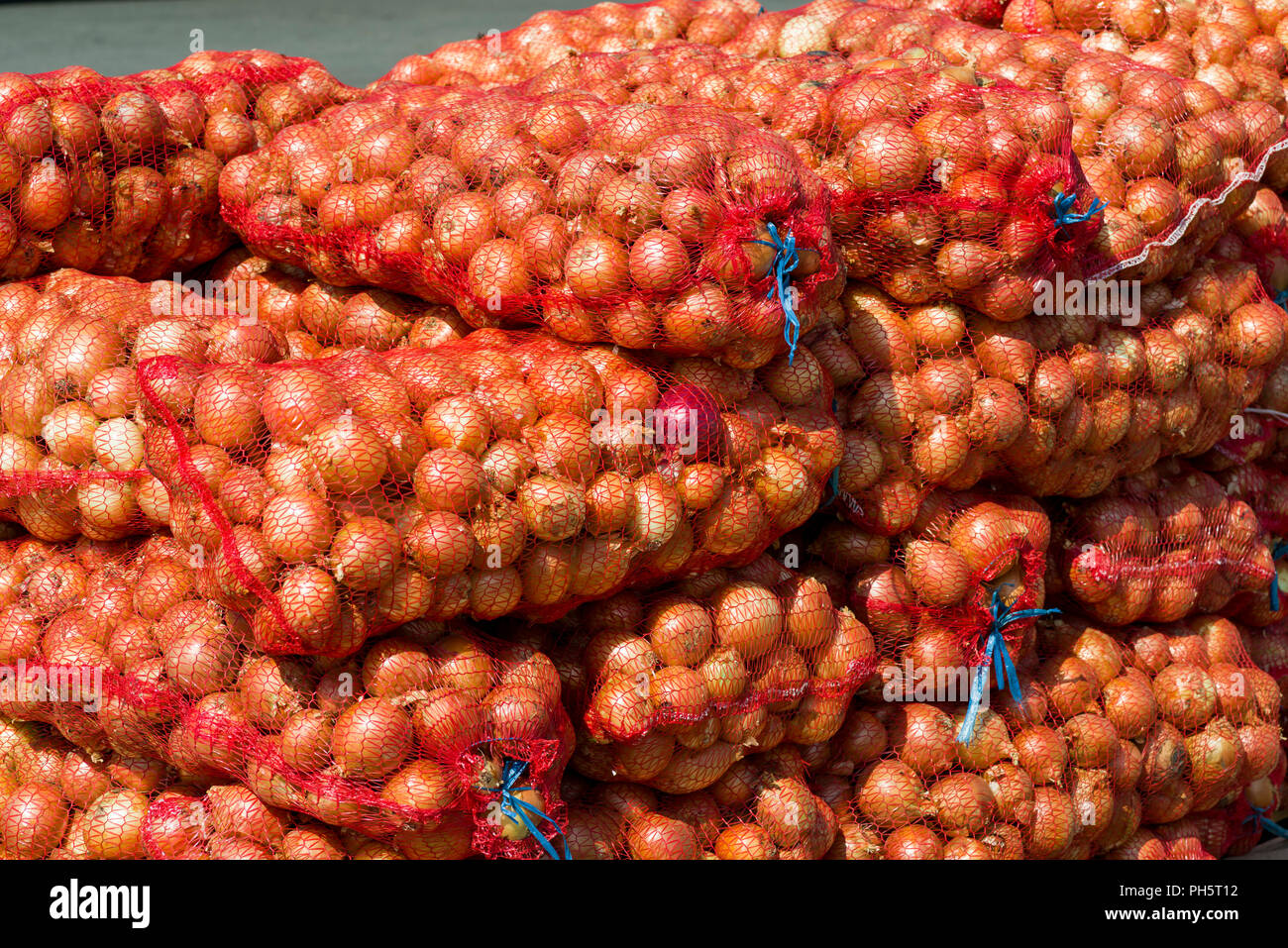 Onions in nets hi-res stock photography and images - Alamy