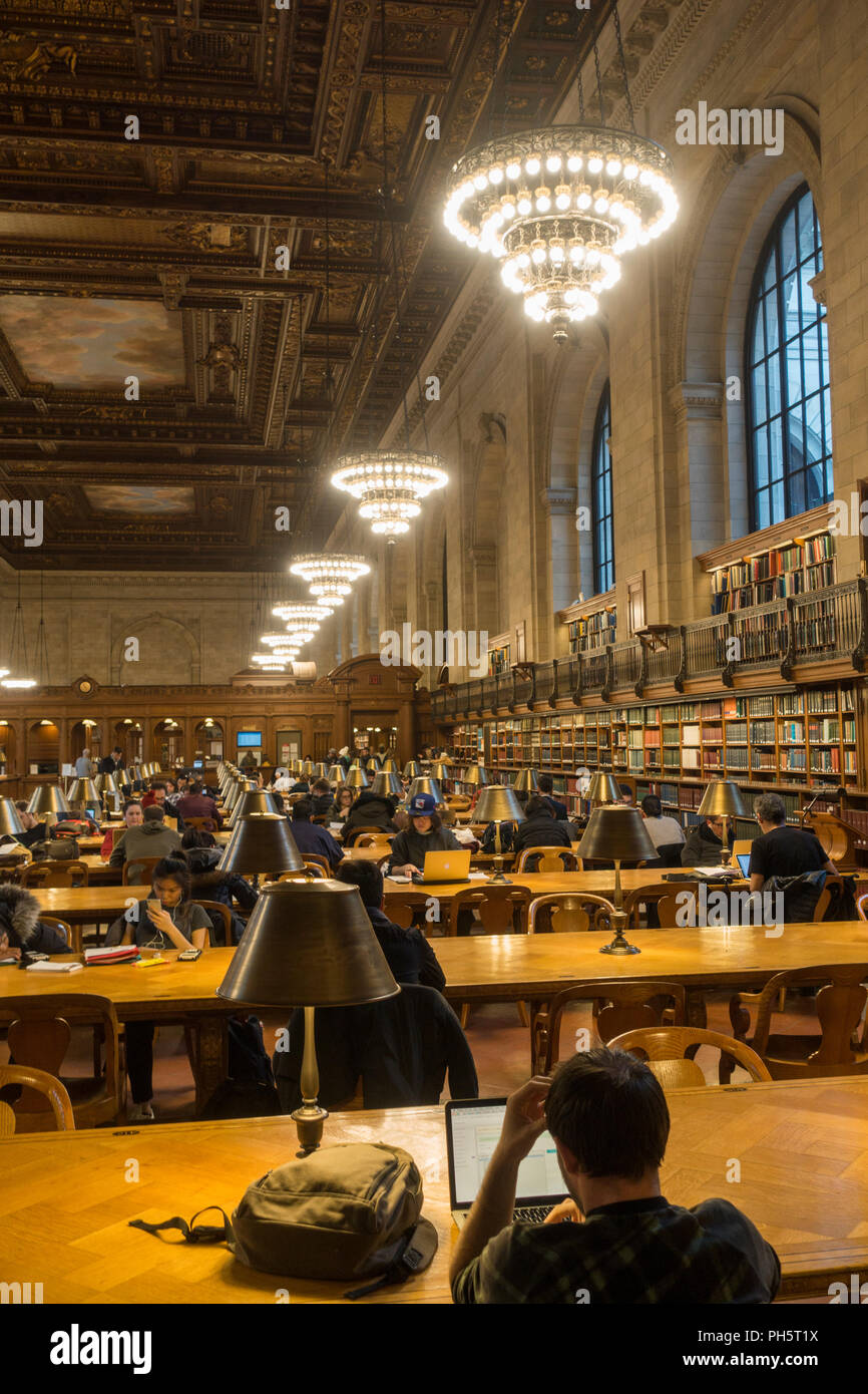 Crowded library books hi-res stock photography and images - Alamy