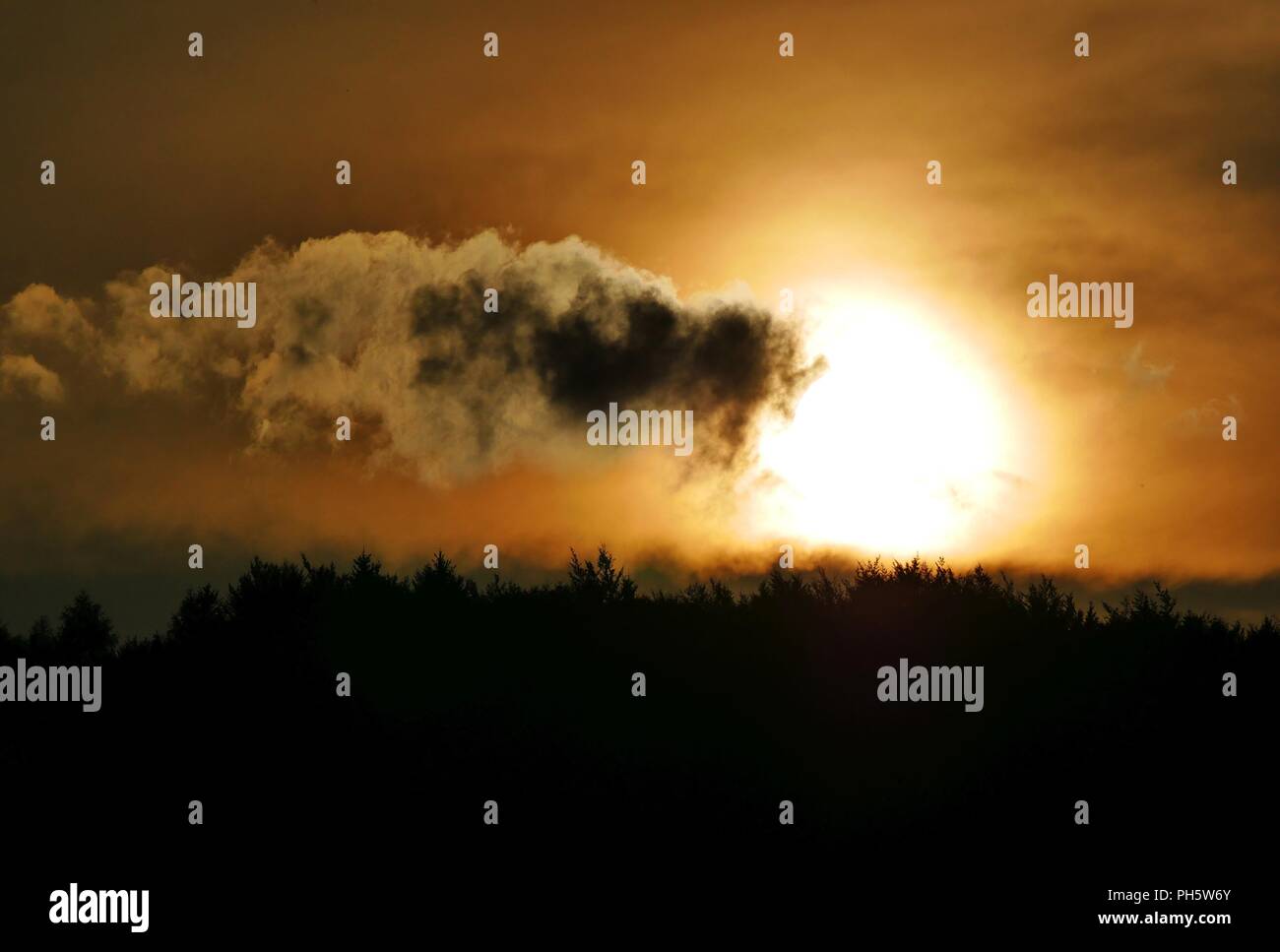 Treeline silhouette hi-res stock photography and images - Alamy