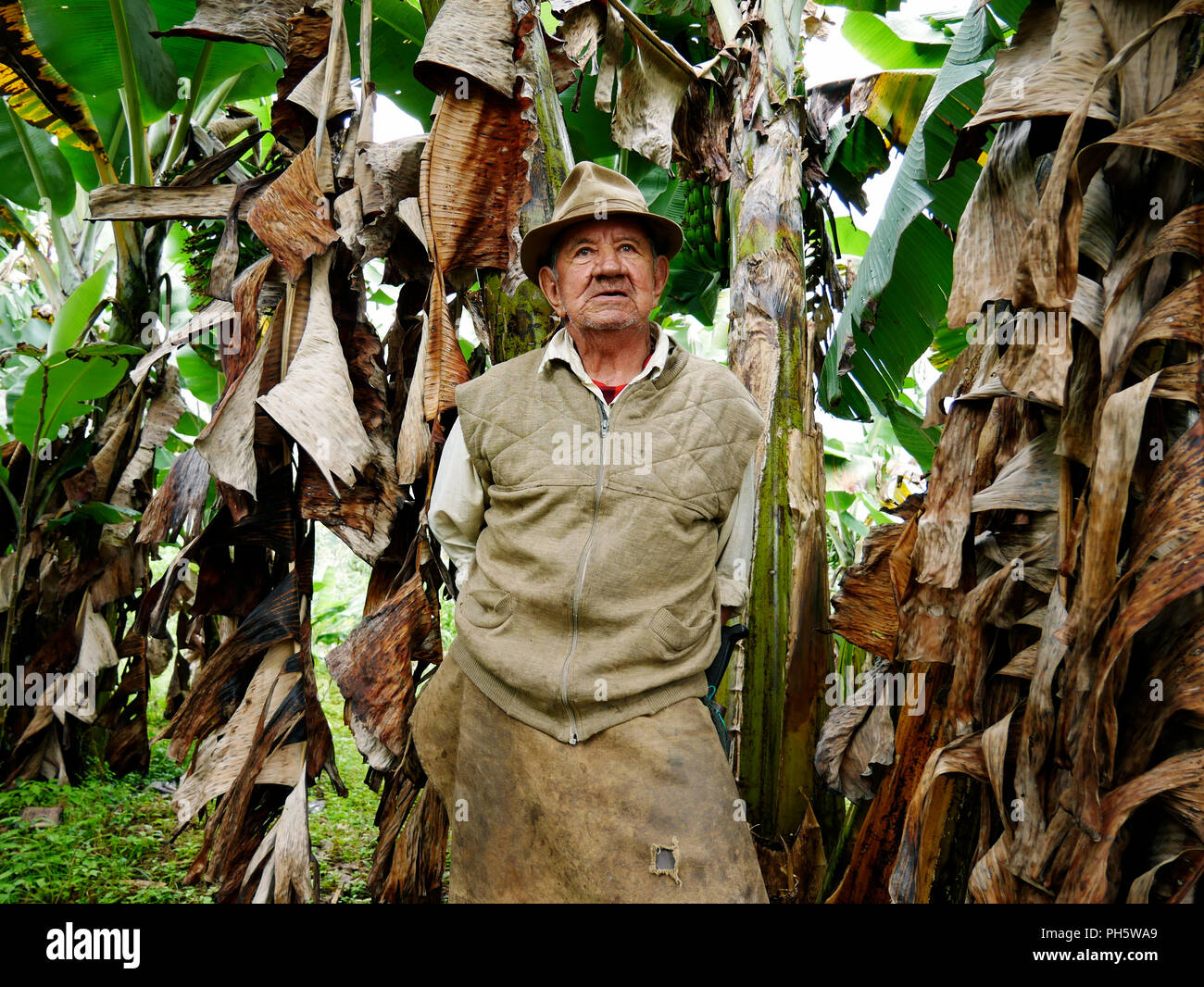 Old farmer hi-res stock photography and images - Alamy