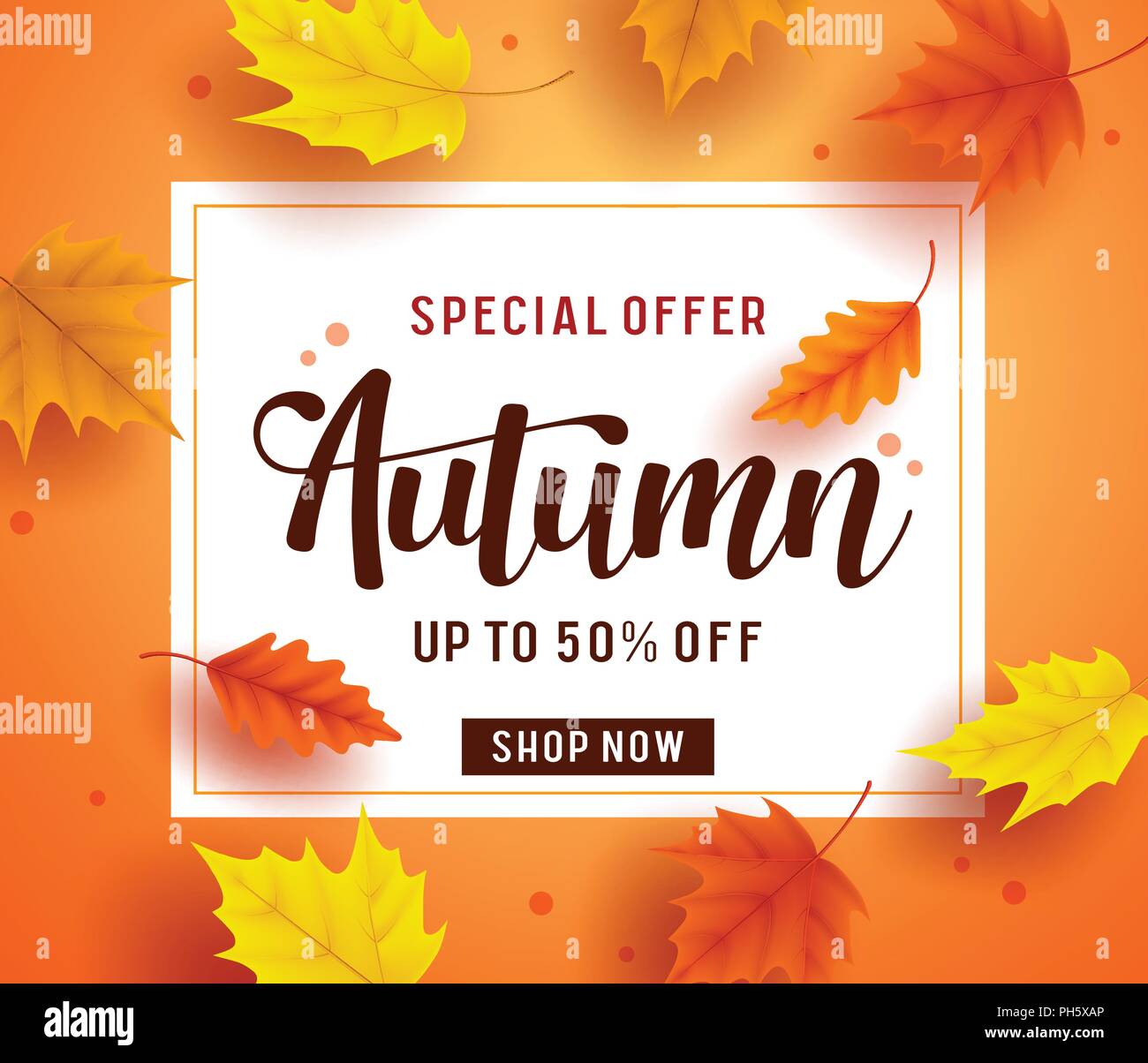 Autumn special offer banner template with white space for text and ...