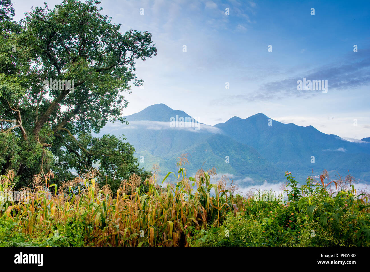 Nepal farm field and hill from chovar Stock Photo - Alamy