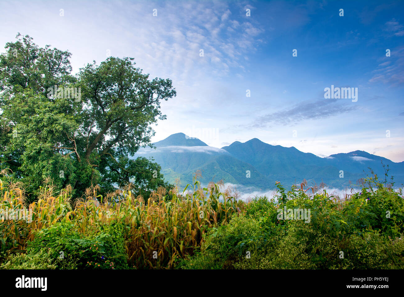 Nepal farm field and hill from chovar Stock Photo - Alamy