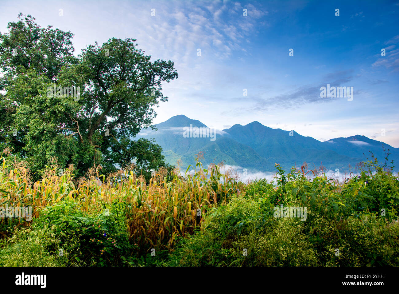 Nepal farm field and hill from chovar Stock Photo - Alamy