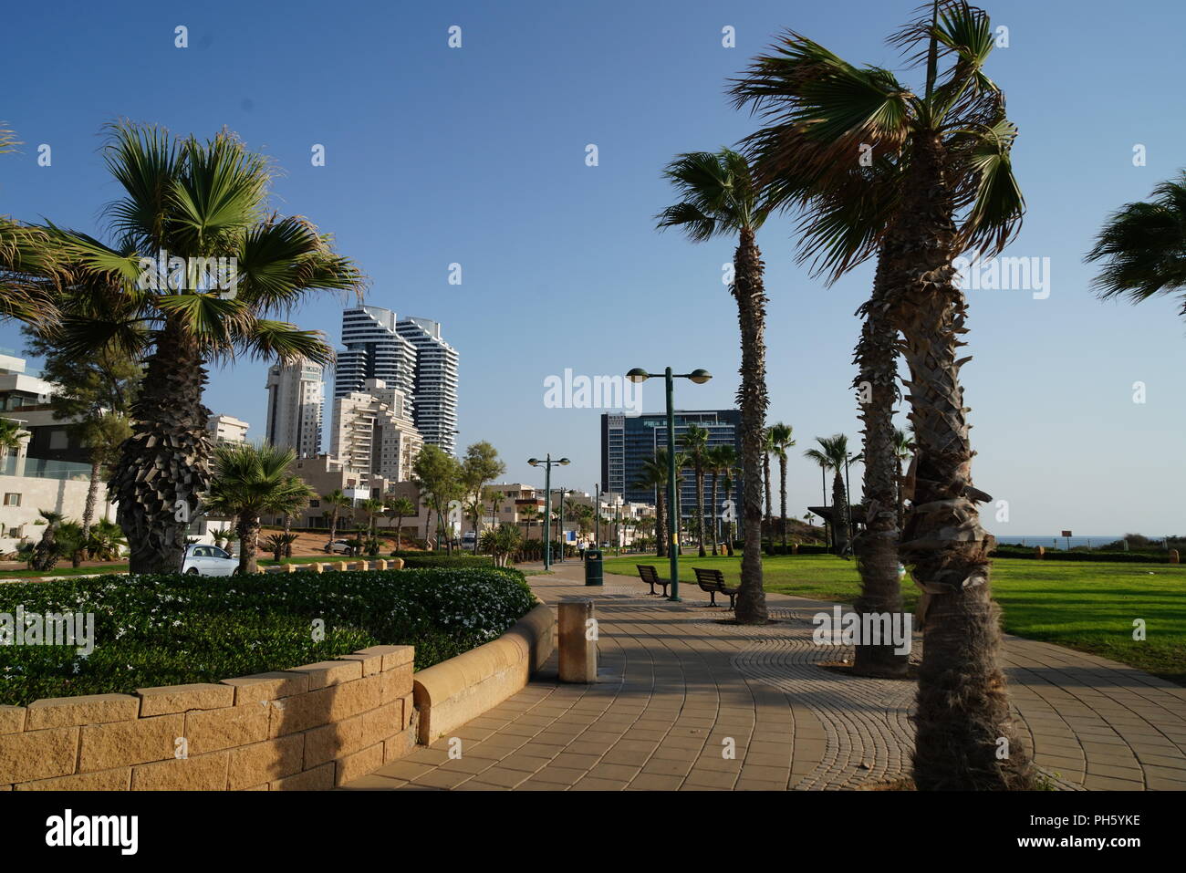 Sharon plain in israel hi-res stock photography and images - Alamy
