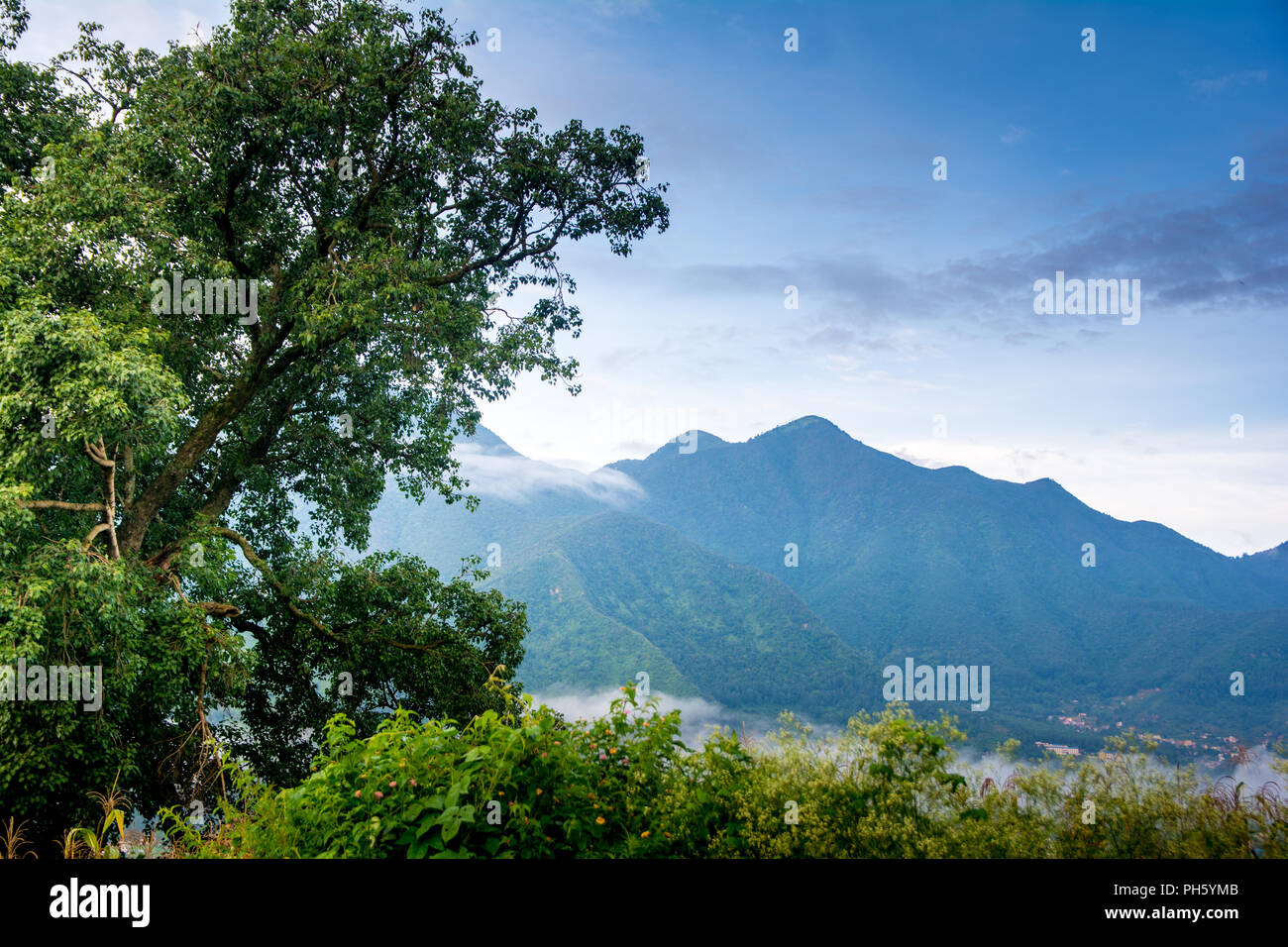 Nepal farm field and hill from chovar Stock Photo - Alamy