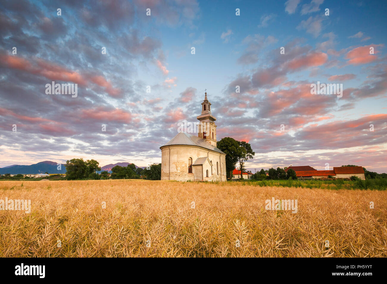 Rural landscape with wheat field and a church in Turiec region, central ...