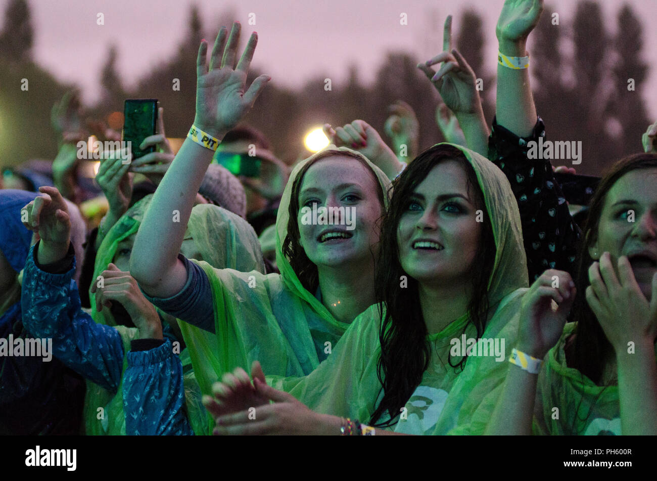 Rock music fans Music Festival Crowd Enthusiastic Summer music festival ...