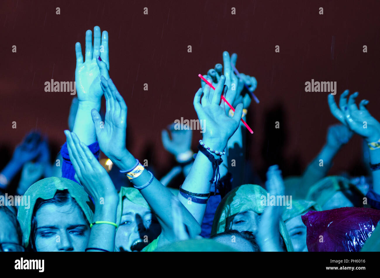Rock music fans Music Festival Crowd Enthusiastic Summer music festival ...