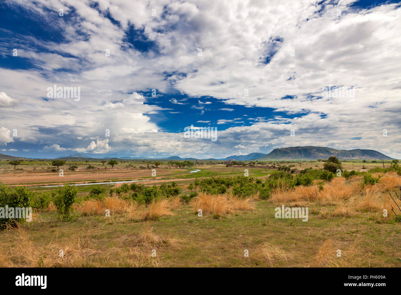 Savanna landscape hi-res stock photography and images - Alamy