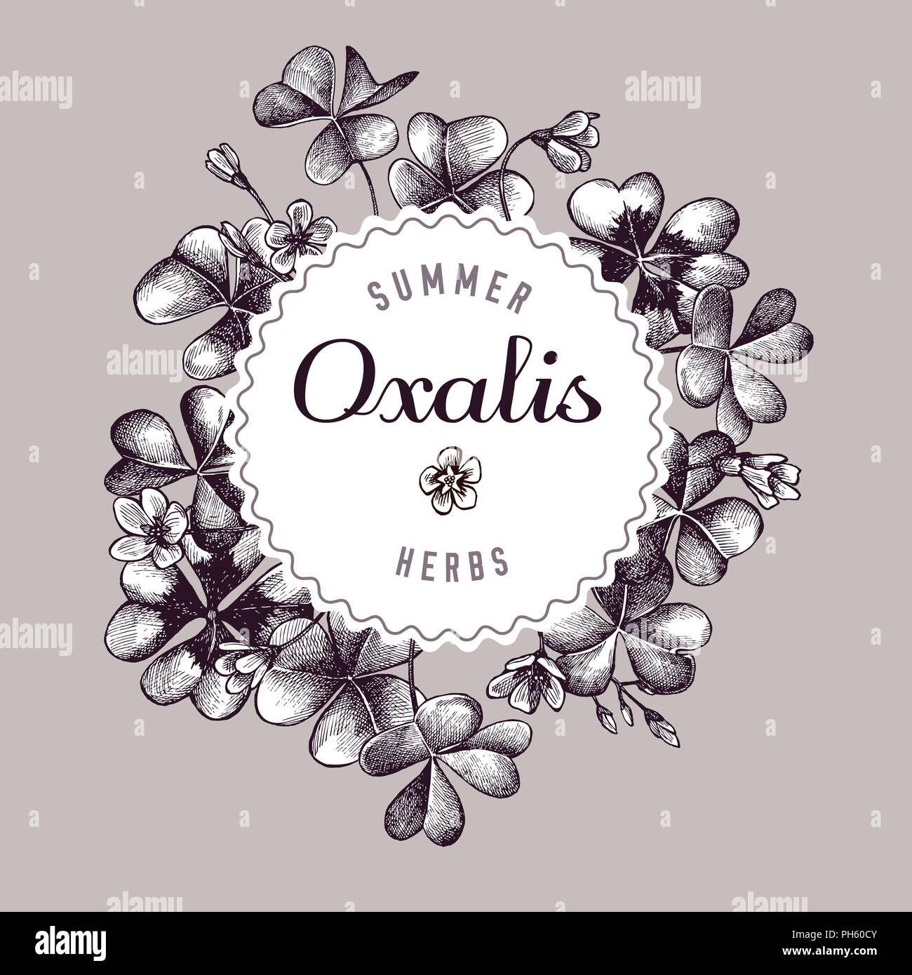 Clover logo hand drawn hi-res stock photography and images - Alamy