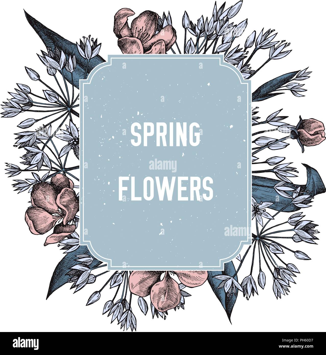 Hand drawn design with spring flowers Highly detailed sketch Stock ...