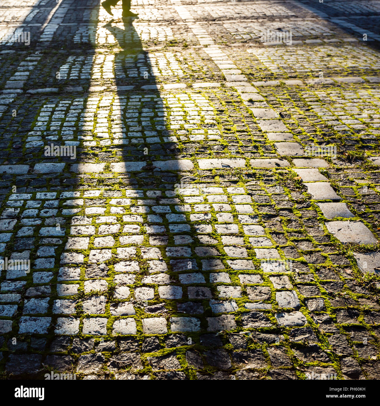 Stone pavement in the sunlight with shadow of man Stock Photo - Alamy